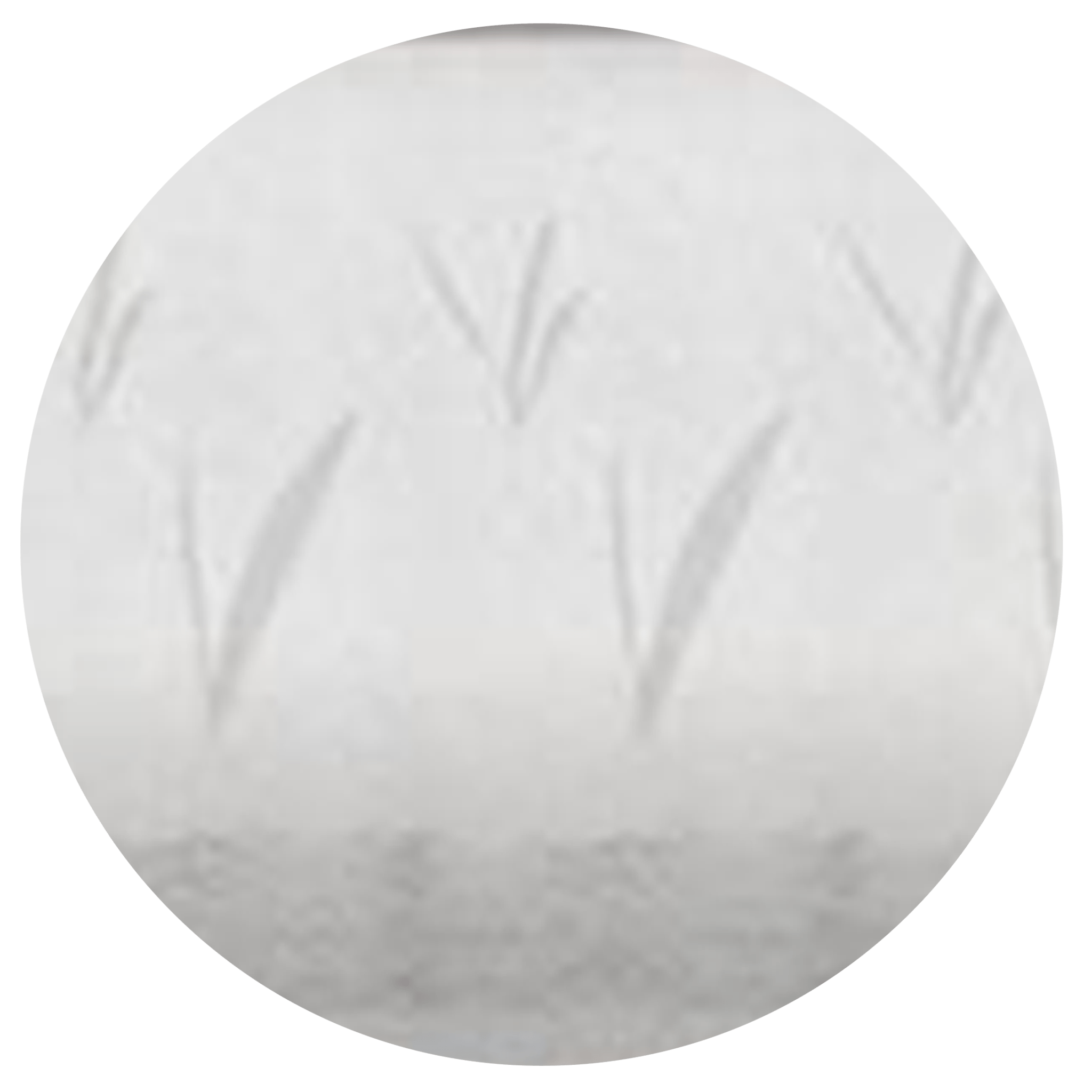 Generation Pools | MP Paradise Pools